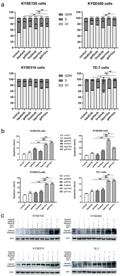 Dual Inhibition of EGFR and IGF-1R Signaling Leads to Enhanced ...