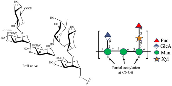 An Immunological Polysaccharide from Tremella fuciformis: Essential ...
