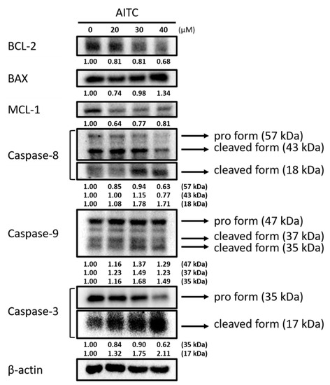 Allyl Isothiocyanate (AITC) Induces Apoptotic Cell Death In Vitro and ...