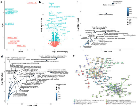 Loss of Serpina1 in Mice Leads to Altered Gene Expression in ...