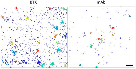 Mapping the Nicotinic Acetylcholine Receptor Nanocluster Topography at ...