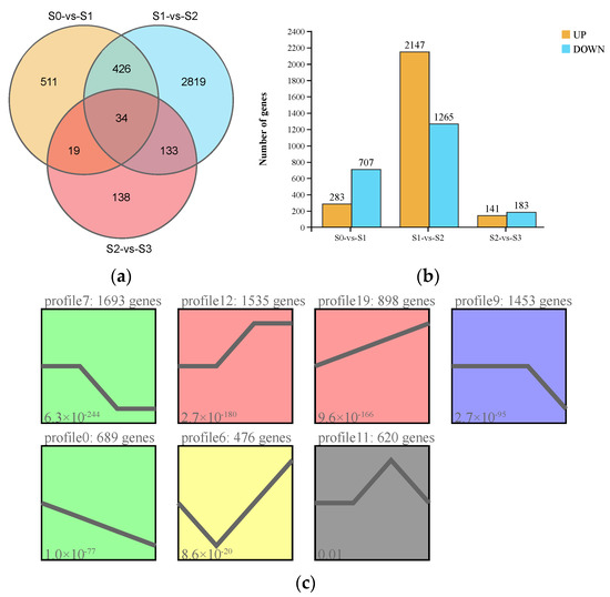 Transcriptome Analysis Reveals Endogenous Hormone Changes during Spike ...