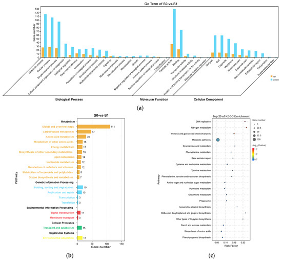 Transcriptome Analysis Reveals Endogenous Hormone Changes during Spike ...