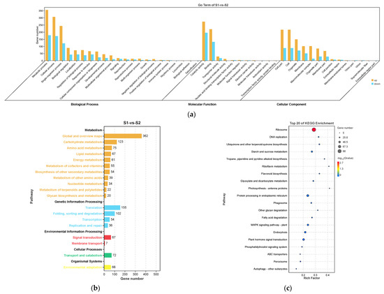 Transcriptome Analysis Reveals Endogenous Hormone Changes during Spike ...