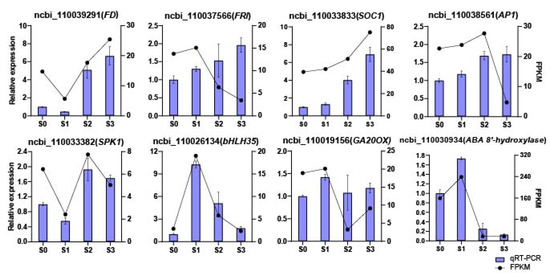 Transcriptome Analysis Reveals Endogenous Hormone Changes during Spike ...