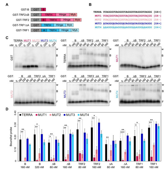 In Vitro Characterization of the Physical Interactions between the Long ...