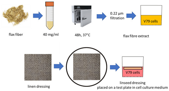 Investigation of the Properties of Linen Fibers and Dressings