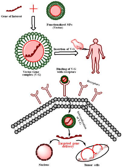 IJMS | Free Full-Text | Significance of Capping Agents of Colloidal ...