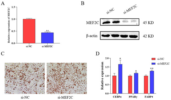 HMG20A Inhibit Adipogenesis by Transcriptional and Epigenetic ...