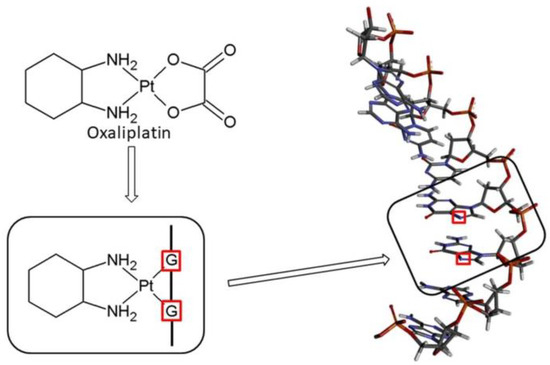 Affinities to Oxaliplatin: Vitamins from B Group vs. Nucleobases
