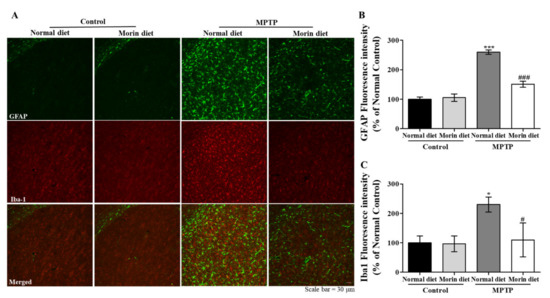 Anti-Inflammatory and Neuroprotective Effects of Morin in an MPTP ...