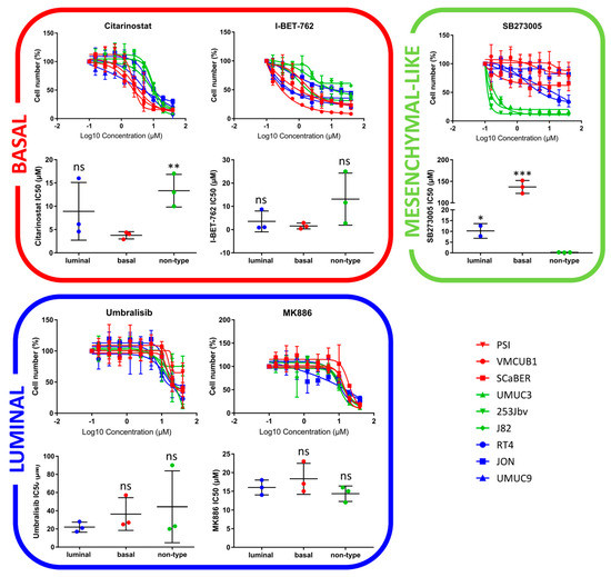 High-Content Drug Discovery Targeting Molecular Bladder Cancer Subtypes