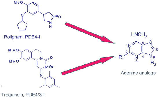 The Complexity and Multiplicity of the Specific cAMP Phosphodiesterase ...