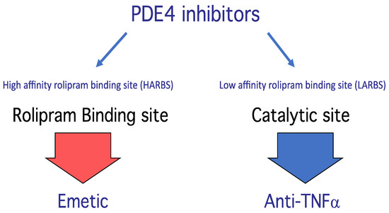 The Complexity and Multiplicity of the Specific cAMP Phosphodiesterase ...