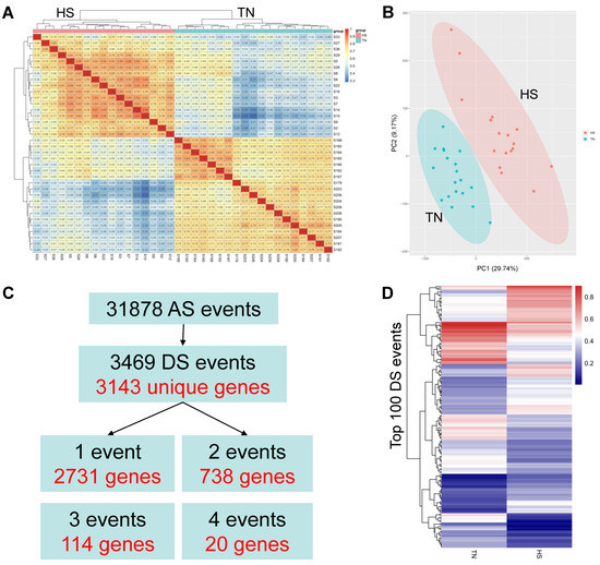 Transcriptome Analyses Reveal Essential Roles of Alternative Splicing ...