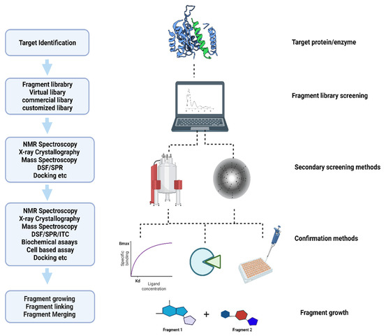 Fragment-Based Drug Discovery against Mycobacteria: The Success and ...