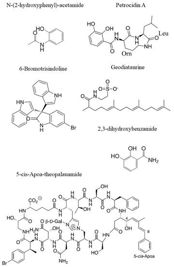 Bioactive Compounds from Marine Sponges and Algae: Effects on Cancer ...