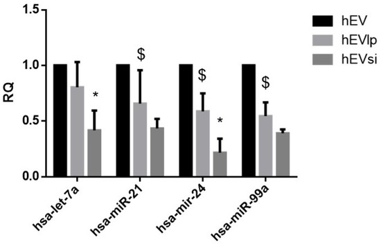 Ijms Free Full Text Cd73 Adenosinergic Axis Mediates The Protective