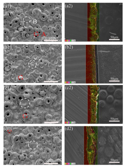 Study on Enhancing the Corrosion Resistance and Photo-Thermal ...