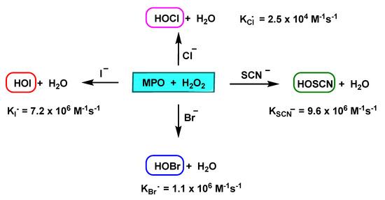 Hypochlorous Acid Chemistry in Mammalian Cells—Influence on Infection ...