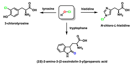 Hypochlorous Acid Chemistry in Mammalian Cells—Influence on Infection ...