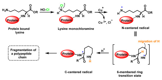 Hypochlorous Acid Chemistry in Mammalian Cells—Influence on Infection ...