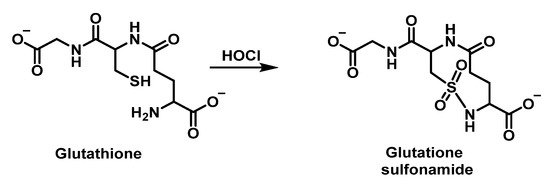 Hypochlorous Acid Chemistry in Mammalian Cells—Influence on Infection ...