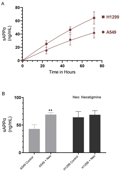 IJMS | Free Full-Text | Regulation of the Soluble Amyloid Precursor ...