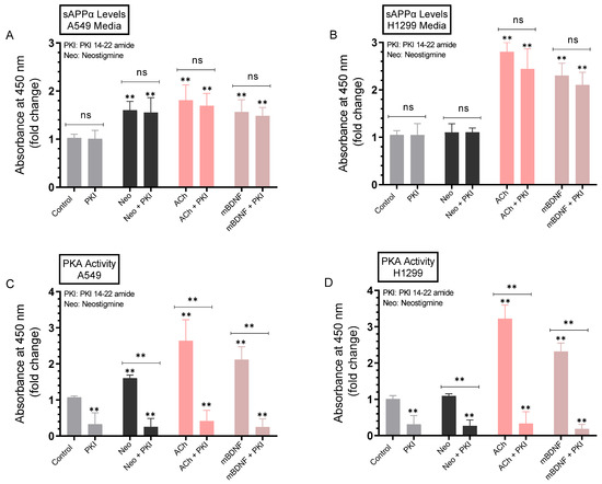 IJMS | Free Full-Text | Regulation of the Soluble Amyloid Precursor ...