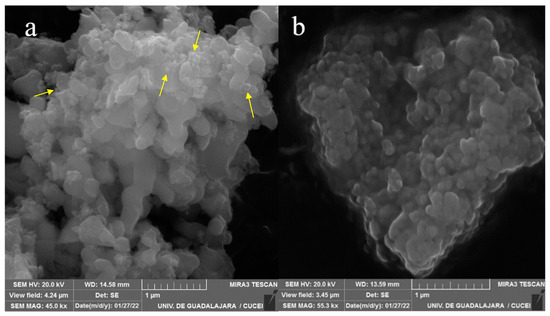 PLGA–TiO2 as a Carrier System for Drug Release