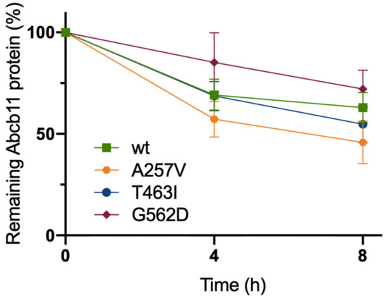 IJMS | Free Full-Text | In Vitro Rescue of the Bile Acid Transport ...