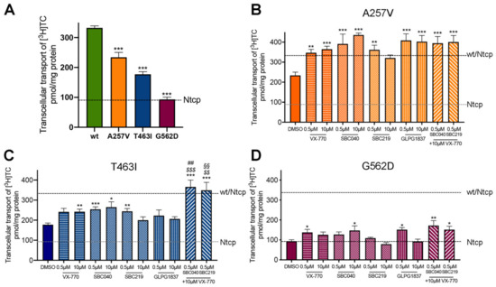 IJMS | Free Full-Text | In Vitro Rescue of the Bile Acid Transport ...