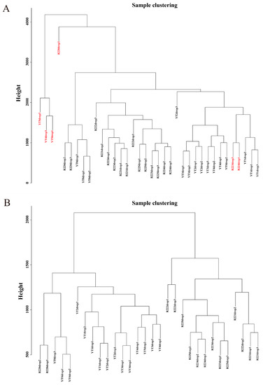 WGCNA Identifies a Comprehensive and Dynamic Gene Co-Expression Network ...