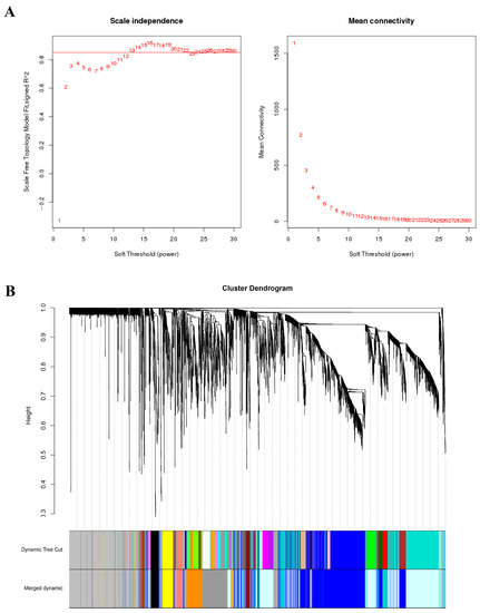 WGCNA Identifies a Comprehensive and Dynamic Gene Co-Expression Network ...