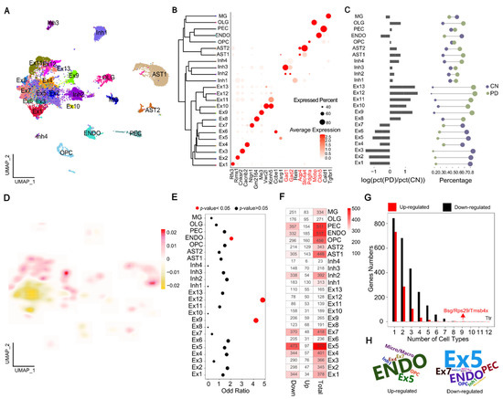 Defining Specific Cell States of MPTP-Induced Parkinson’s Disease by ...