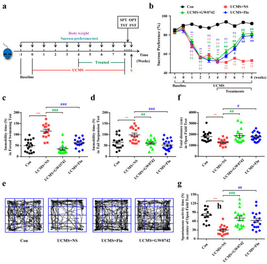 IJMS | Free Full-Text | Activating PPARβ/δ Protects against Endoplasmic ...