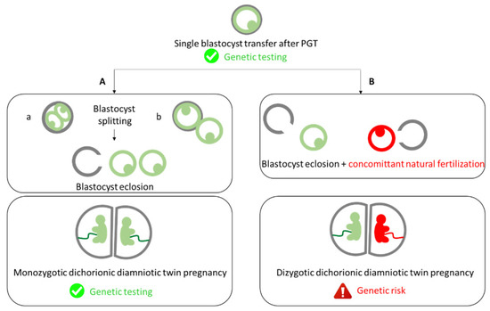 IJMS | Free Full-Text | Molecular Characterization of a Rare Case of ...