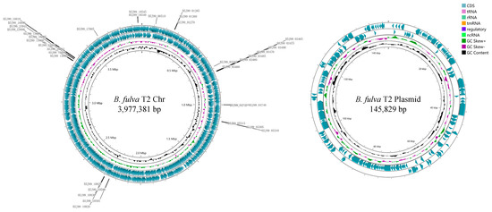 New Multidrug Efflux Systems in a Microcystin-Degrading Bacterium ...