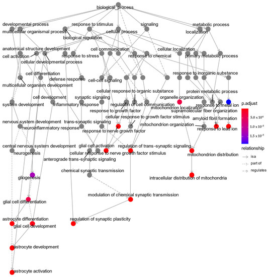 IJMS | Free Full-Text | Evaluation of Synaptic and Axonal Dysfunction Biomarkers in Alzheimer’s ...