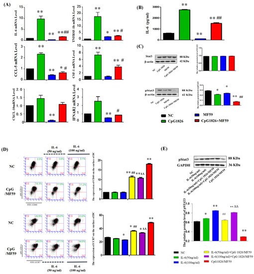 MF59 Promoted the Combination of CpG ODN1826 and MUC1-MBP Vaccine ...