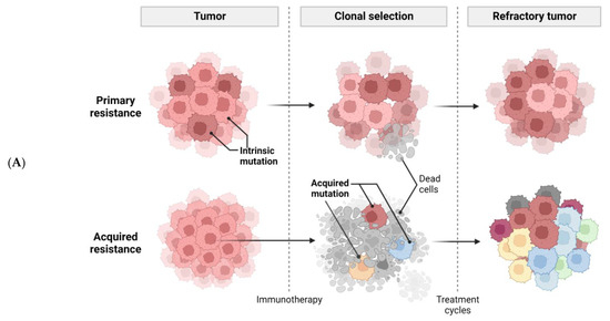 IJMS | Free Full-Text | Cancer Resistance to Immunotherapy: Molecular Mechanisms and Tackling ...
