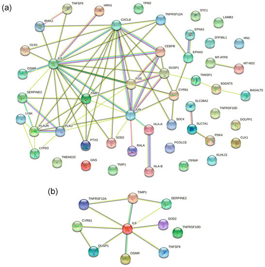 A Novel L-Phenylalanine Dipeptide Inhibits the Growth and Metastasis of ...