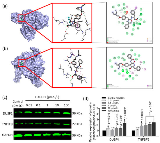 A Novel L-Phenylalanine Dipeptide Inhibits the Growth and Metastasis of ...