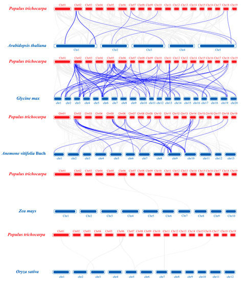 Genome-Wide Identification and Expression Patterns of the F-box Family ...