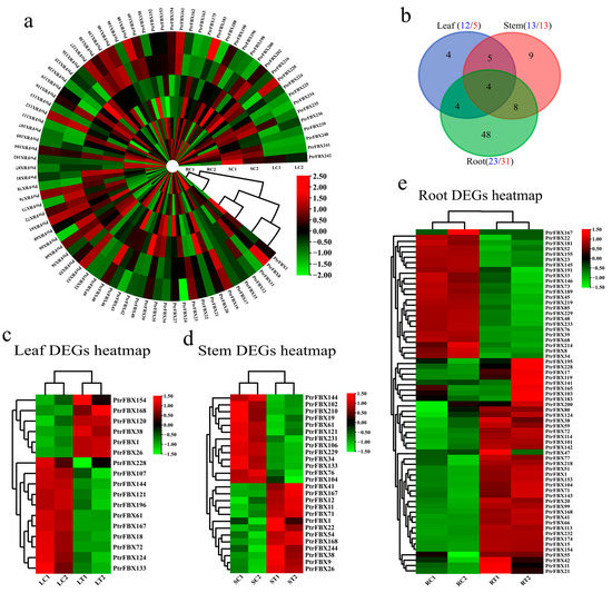 Genome-Wide Identification and Expression Patterns of the F-box Family ...
