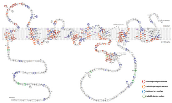 Genetics, Functions, and Clinical Impact of Presenilin-1 (PSEN1) Gene