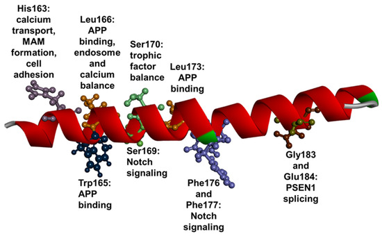 Genetics, Functions, and Clinical Impact of Presenilin-1 (PSEN1) Gene