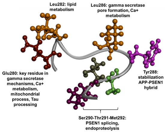 Genetics, Functions, and Clinical Impact of Presenilin-1 (PSEN1) Gene