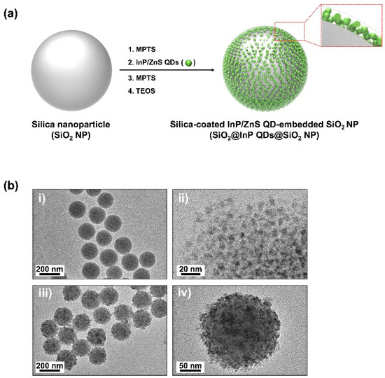 Highly Bright Silica-Coated InP/ZnS Quantum Dot-Embedded Silica ...