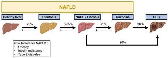 S100 Proteins in Fatty Liver Disease and Hepatocellular Carcinoma